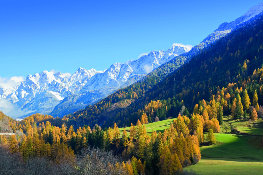 Team - Augenzentrum Grischun